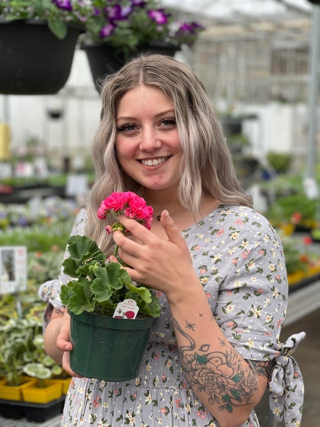 Debs Greenhouse Garden Centre