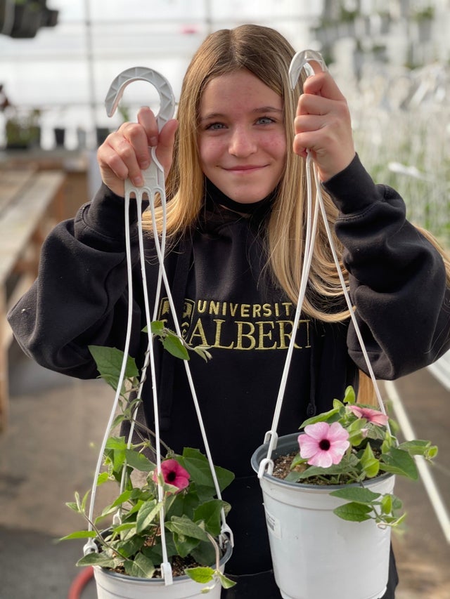 Debs Greenhouse Garden Centre