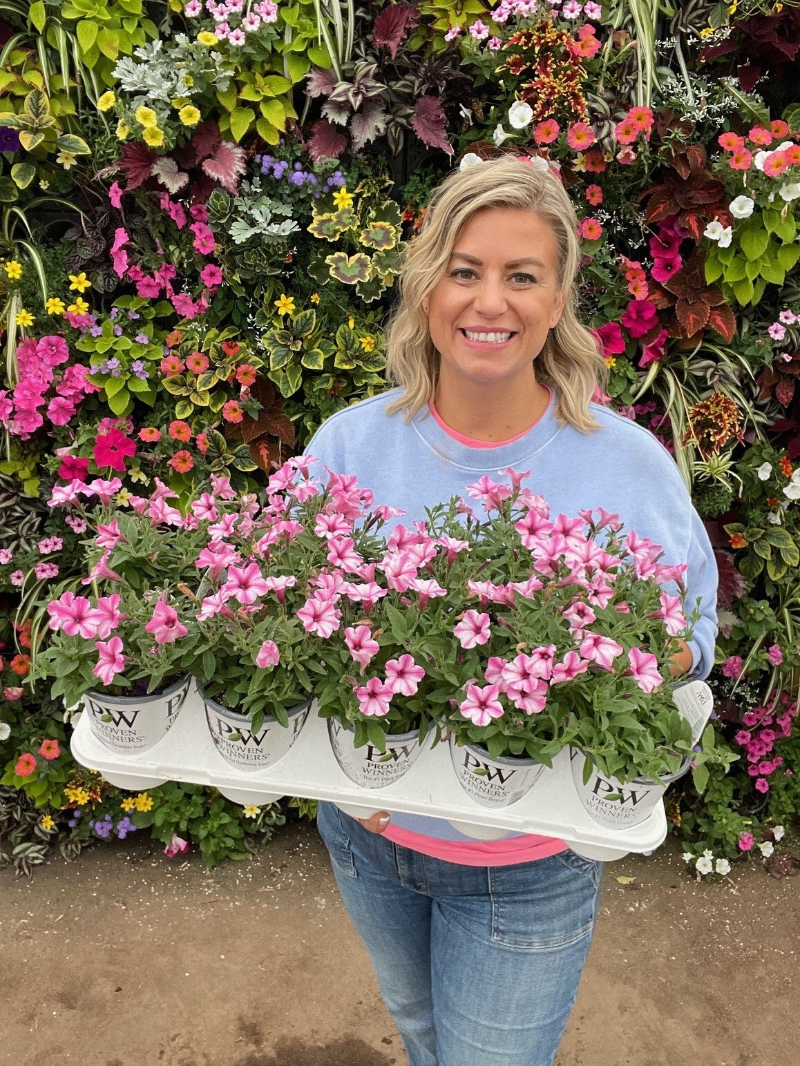 Debs Greenhouse Garden Centre