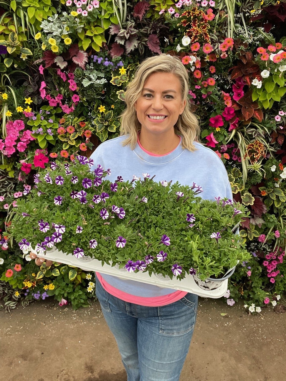 Debs Greenhouse Garden Centre