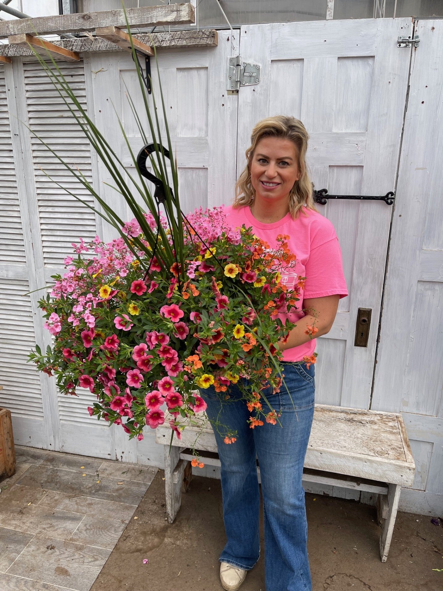 Hula Hoop Mix - New Weekender Pot | Debs Greenhouse Garden Centre