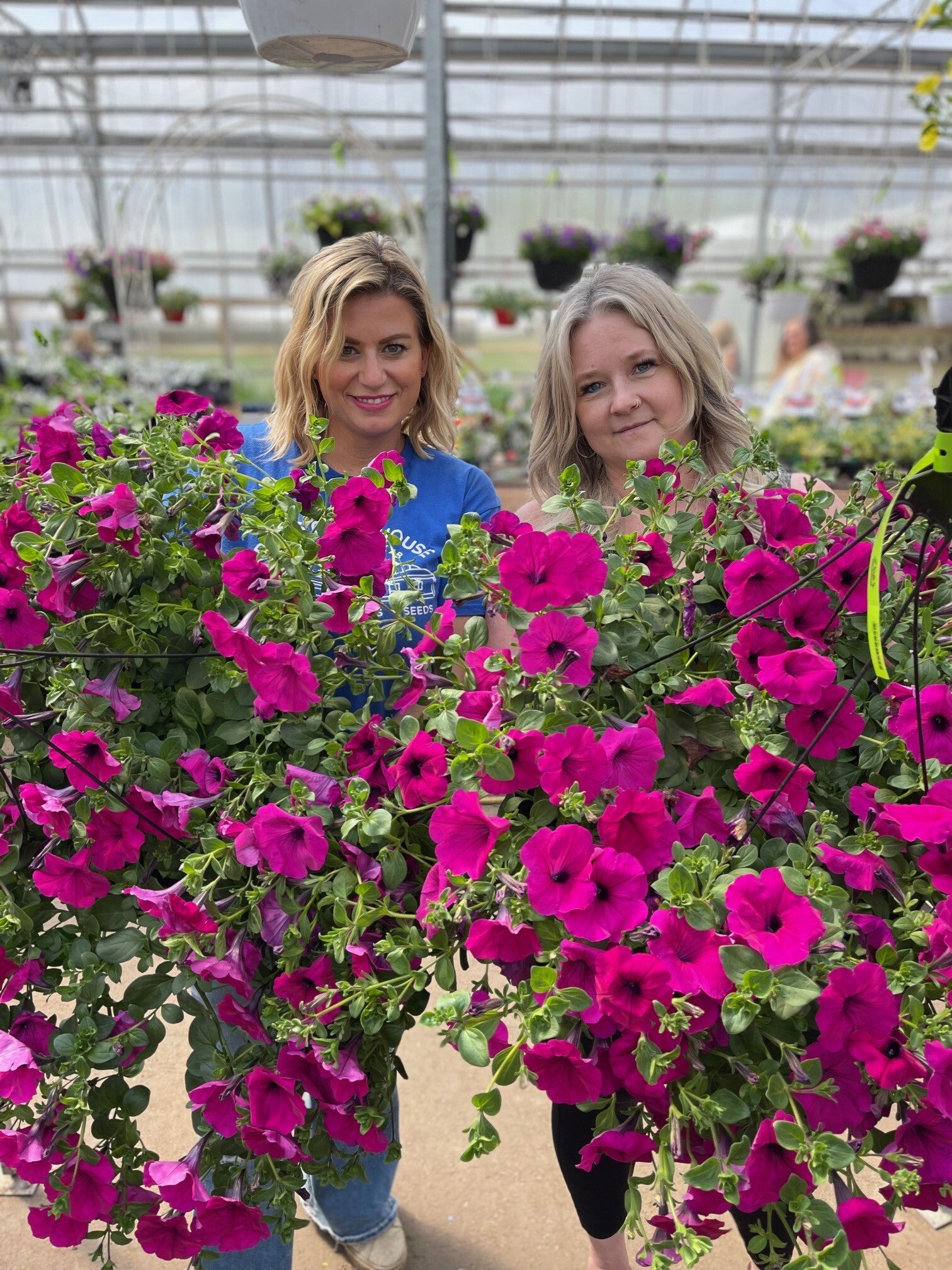 Kerrian Combo | Debs Greenhouse Garden Centre