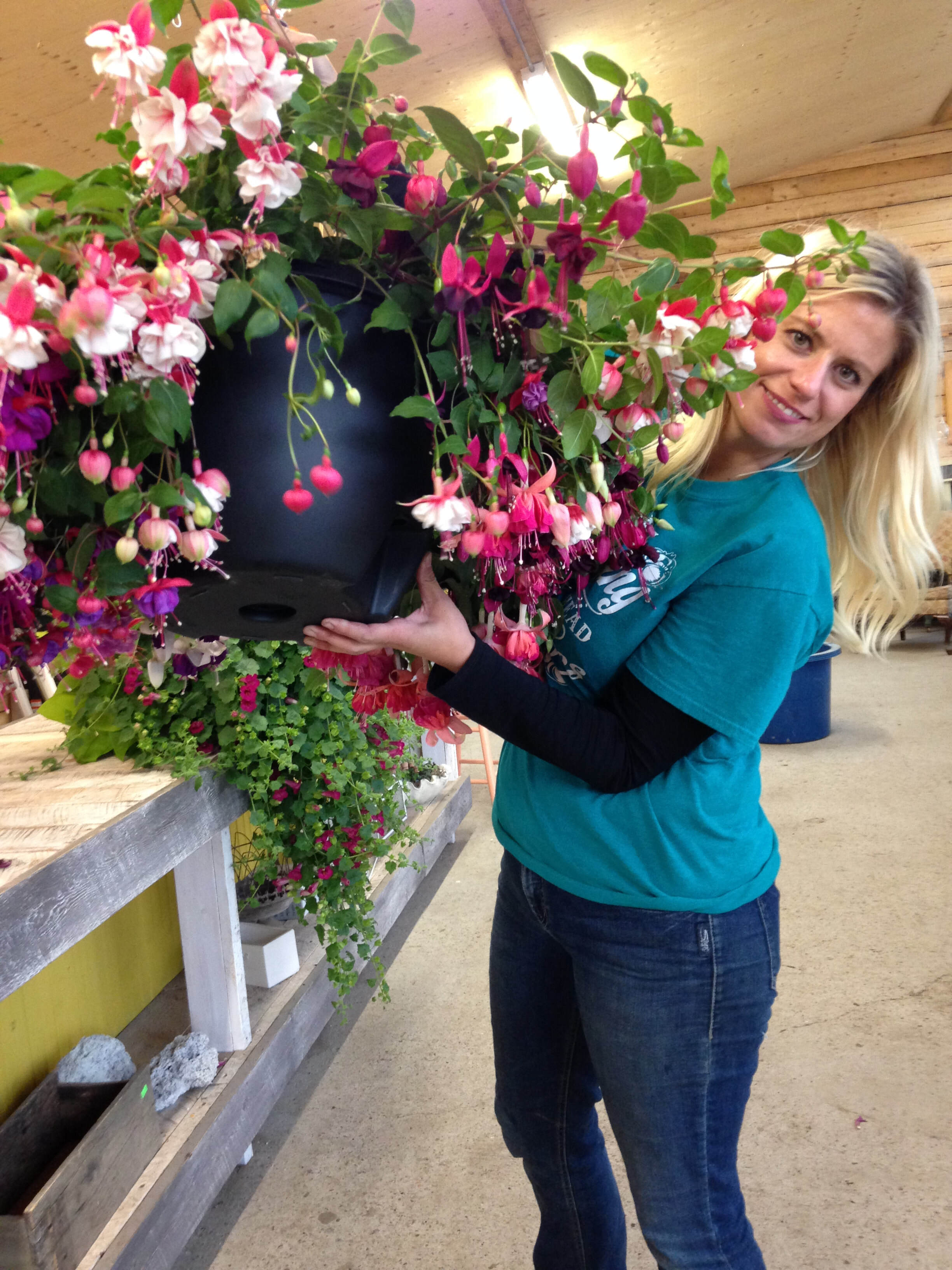 Fuchsia Mix - New Weekender Pot | Debs Greenhouse Garden Centre