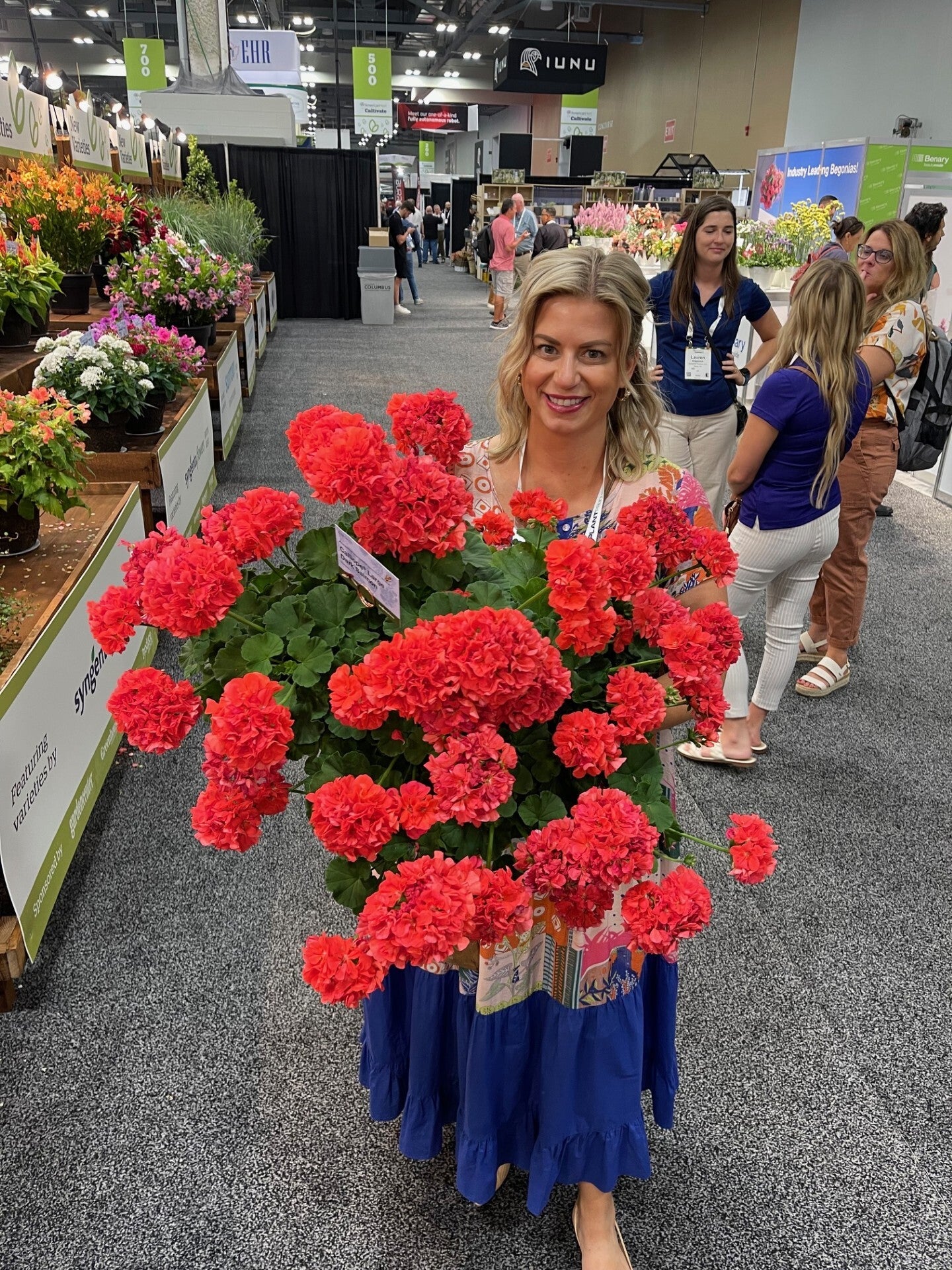 Geranium Calliope Large Dark Salmon | Debs Greenhouse Garden Centre